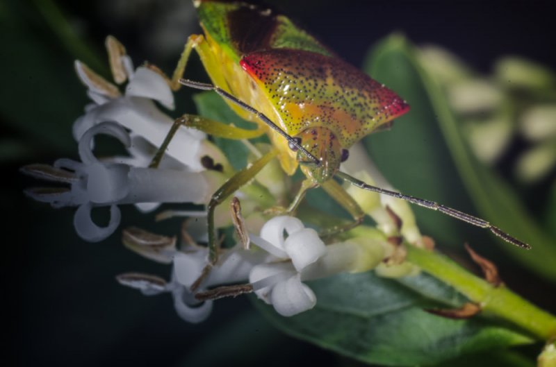 Tiere ⋆ Sabine Kast Photography